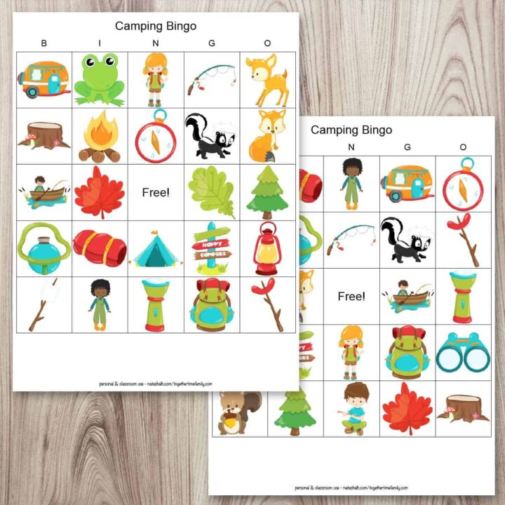 Free Printable Camping Bingo (easy rainy day camping activity ...