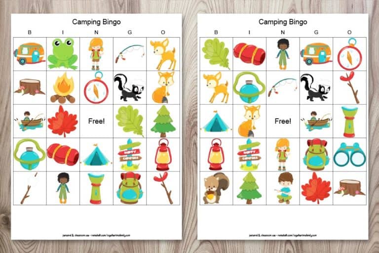 Free Printable Camping Bingo (easy rainy day camping activity ...