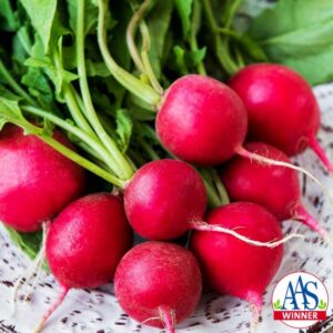 How to Plant and Grow Radish from Seed: a fast-growing crop you can ...