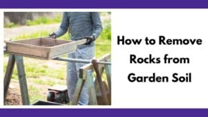 How to Remove Rocks from Soil - Together Time Family
