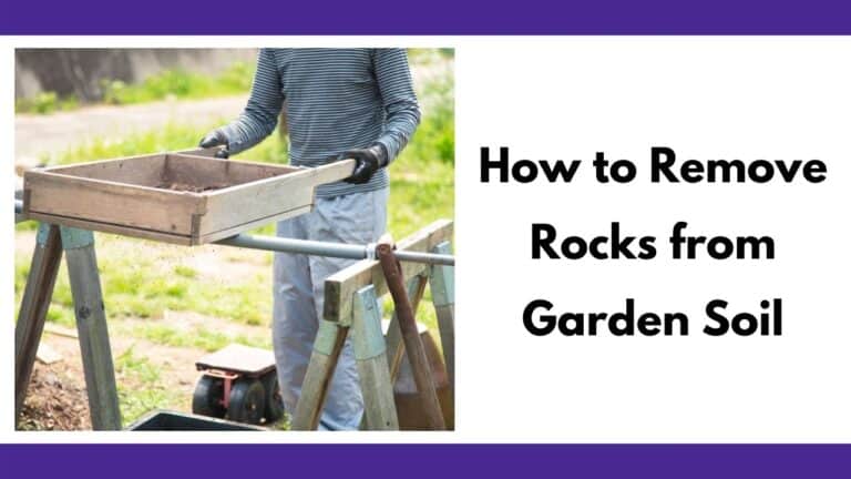 How to Remove Rocks from Soil - Together Time Family