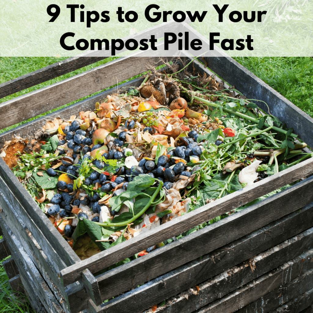 Composting Archives - Together Time Family