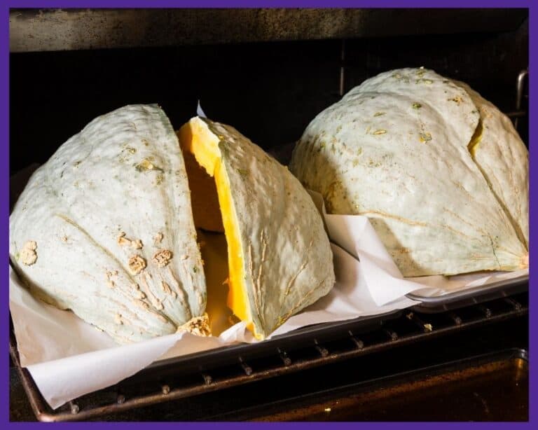 Growing Blue Hubbard Squash - How to Plant & Grow Blue Hubbard Squash ...