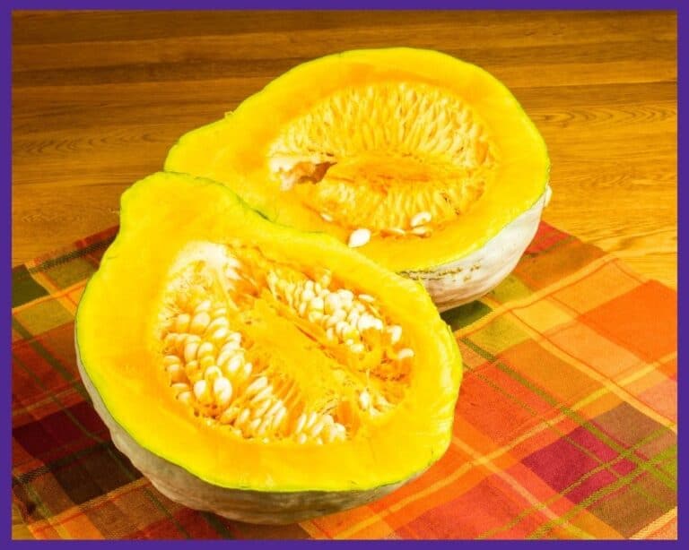 Growing Blue Hubbard Squash - How to Plant & Grow Blue Hubbard Squash ...