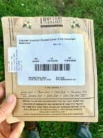 Growing Kidney Beans - How to Plant & Grow Kidney Beans - Together Time ...