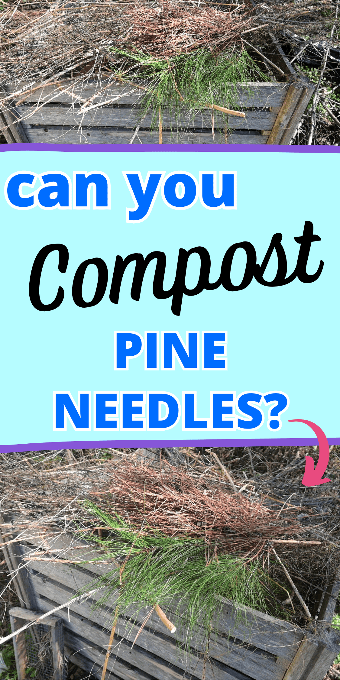 Can you Compost Pine Needles? How to compost pine needles successfully ... Can you Compost Pine Needles? How to compost pine needles successfully ...
