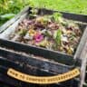 How to Start Composting for Beginners - Together Time Family