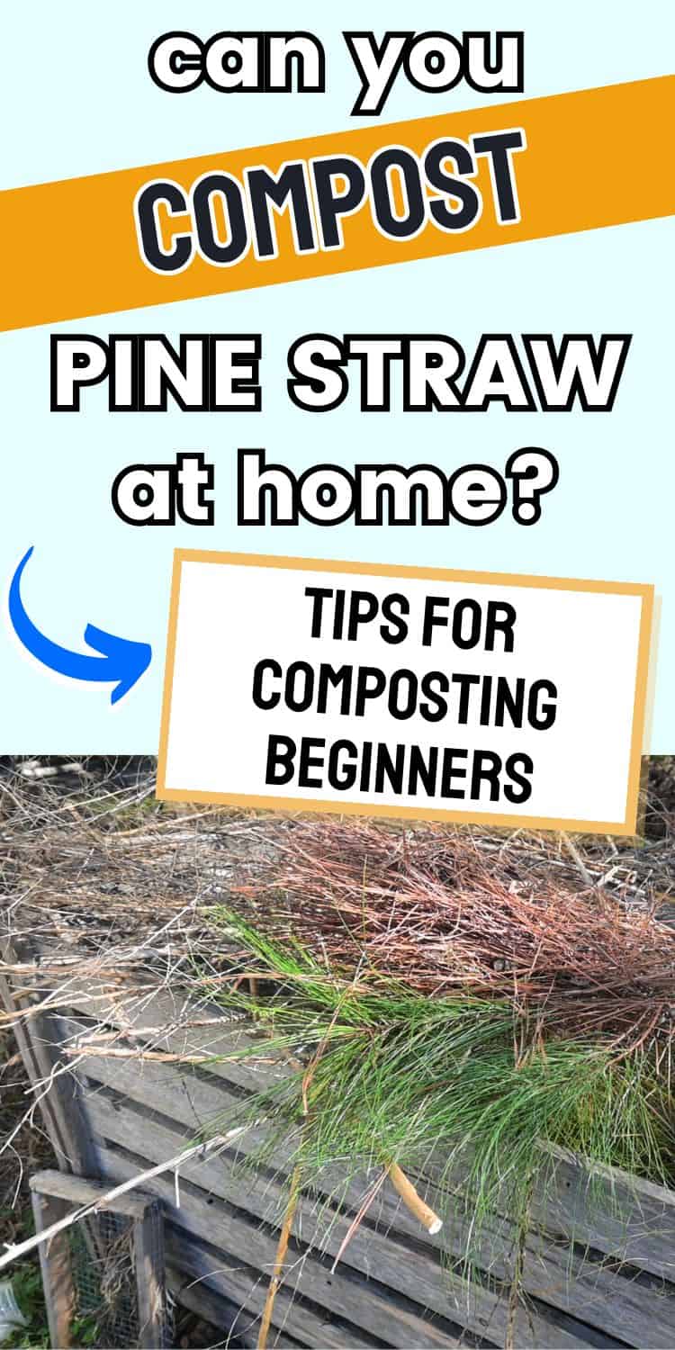 Can you Compost Pine Needles? How to compost pine needles successfully ...