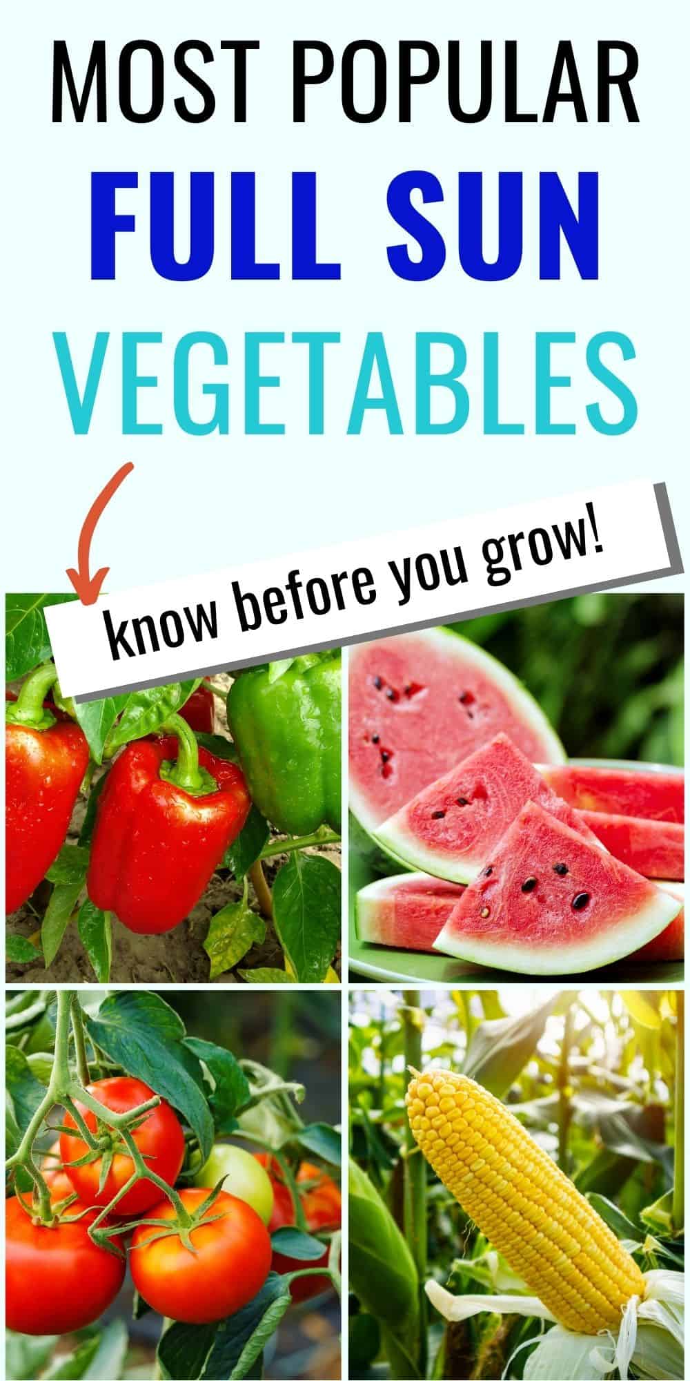 The difference between full sun and partial sun vegetables and herbs ...