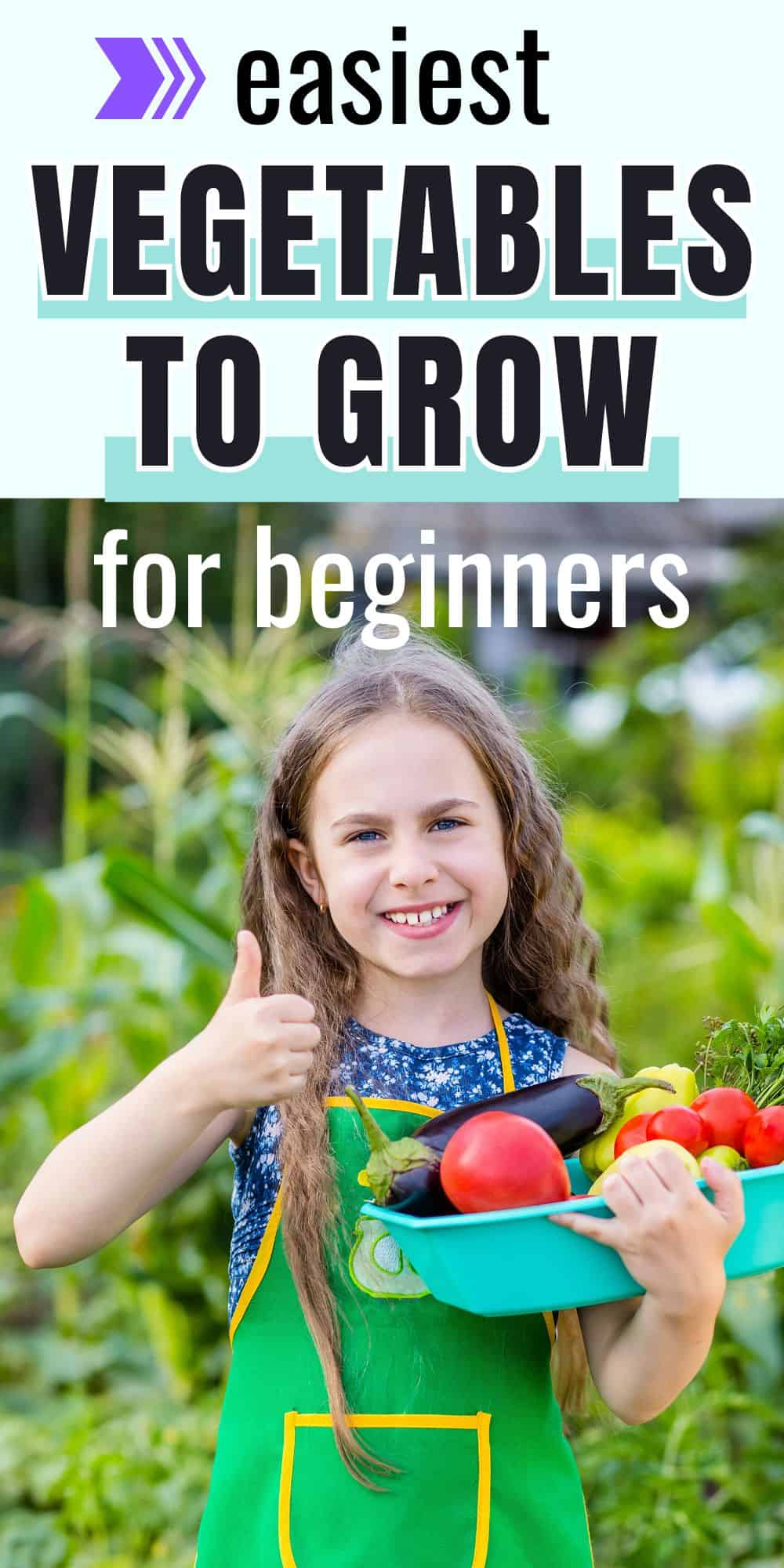 Easiest Vegetables to Grow for Beginners - Together Time Family